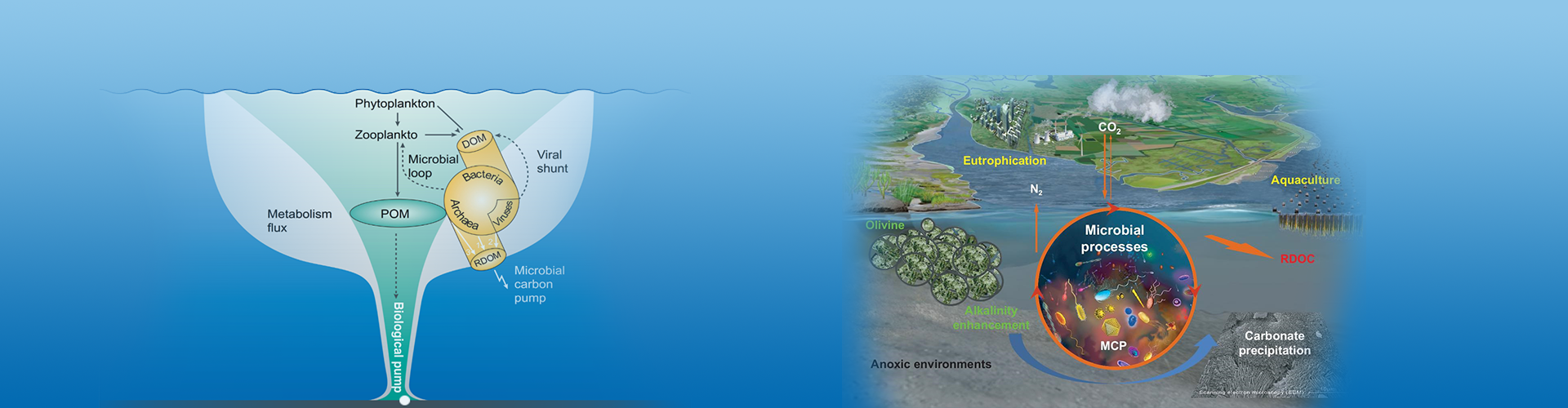 Ocean Negative Carbon Emissions (ONCE)