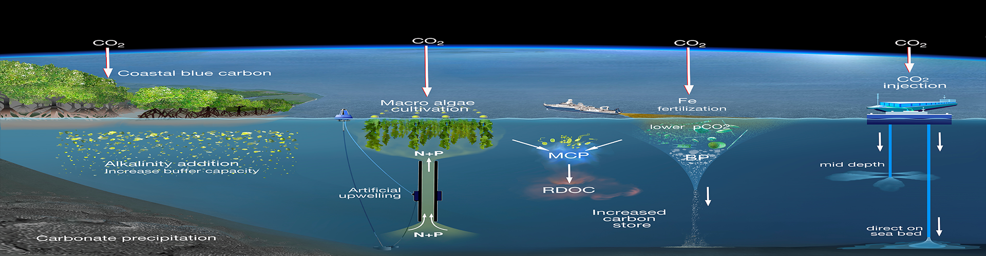 Ocean Negative Carbon Emissions (ONCE)