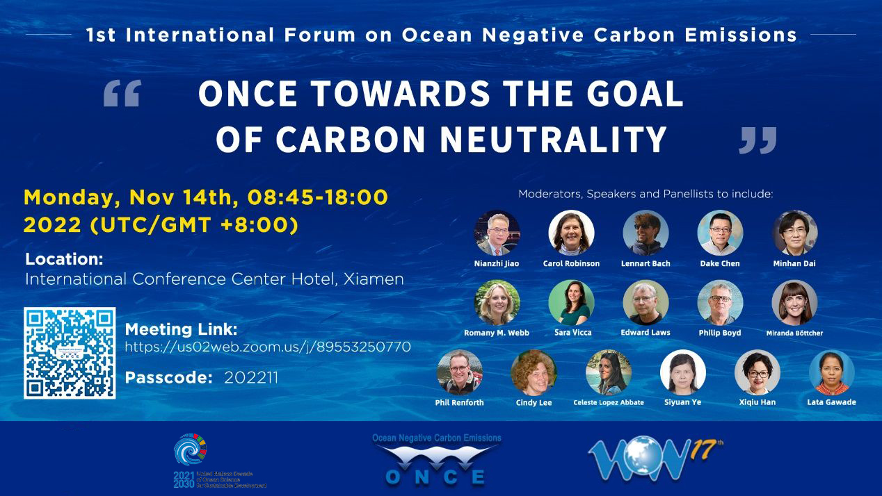 Ocean Negative Carbon Emissions (ONCE)