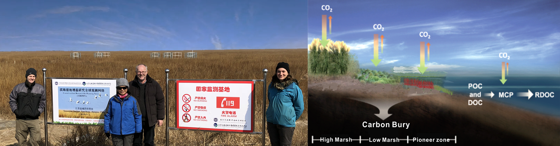 Ocean Negative Carbon Emissions (ONCE)