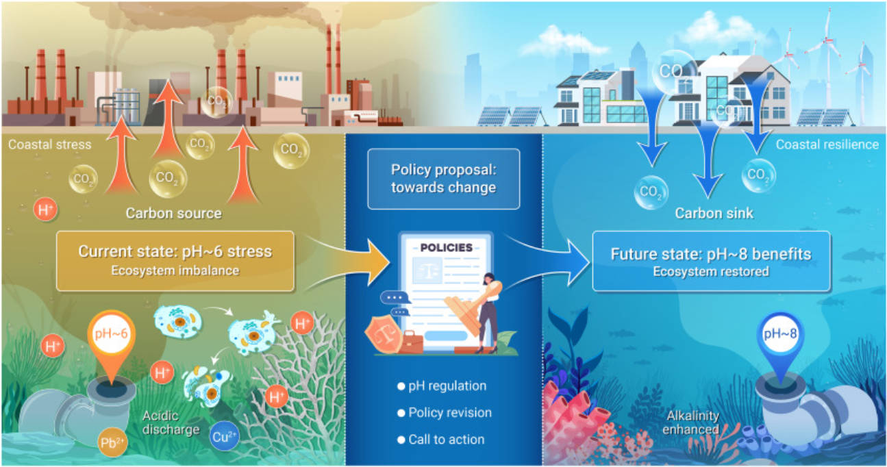 Ocean Negative Carbon Emissions (ONCE)